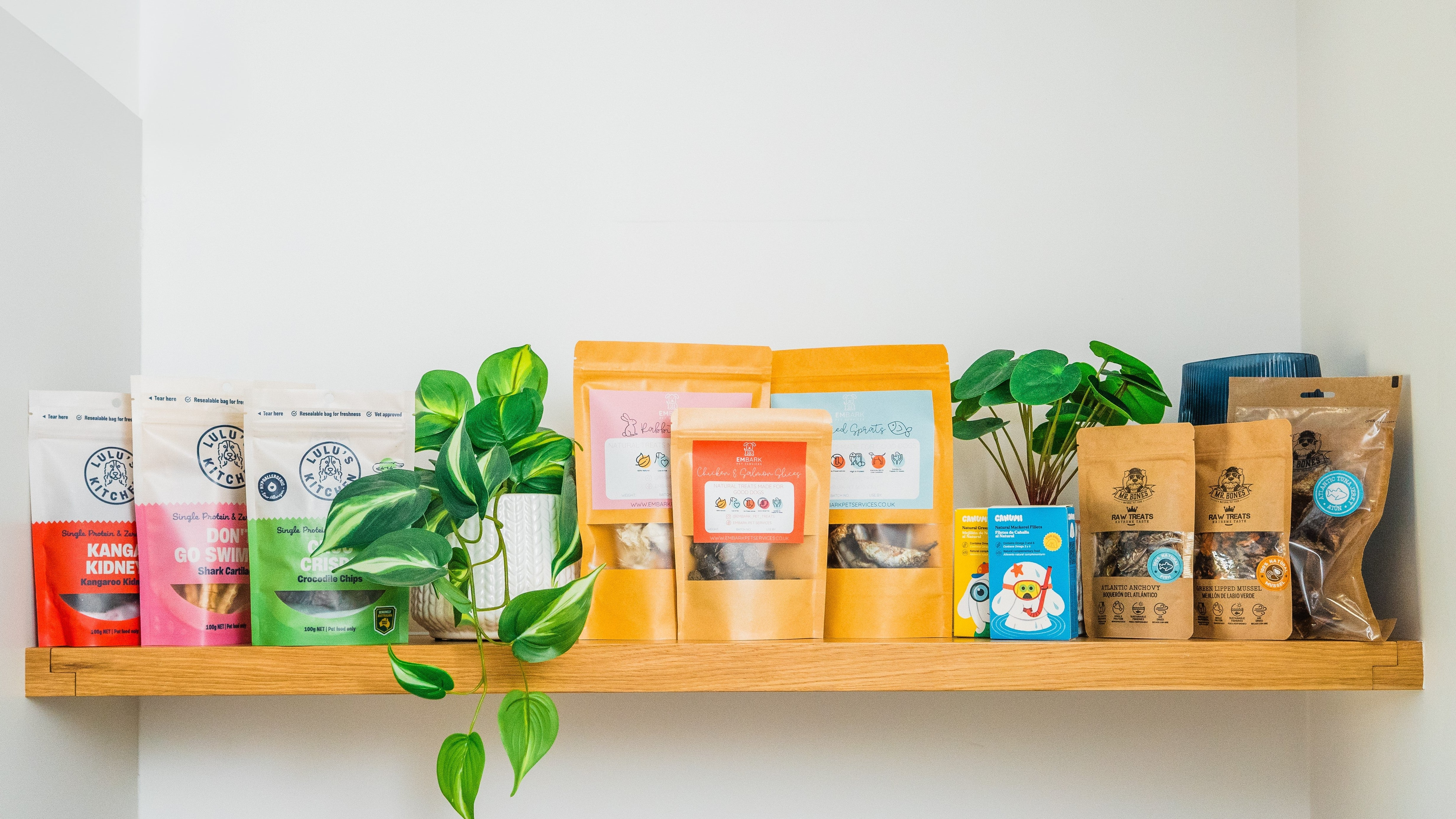 New In! – Embark Pet Services
